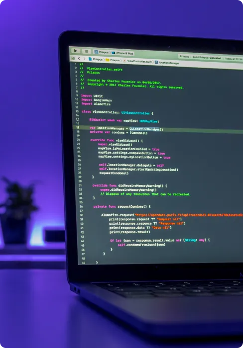 Lamp Application Development Services Company
